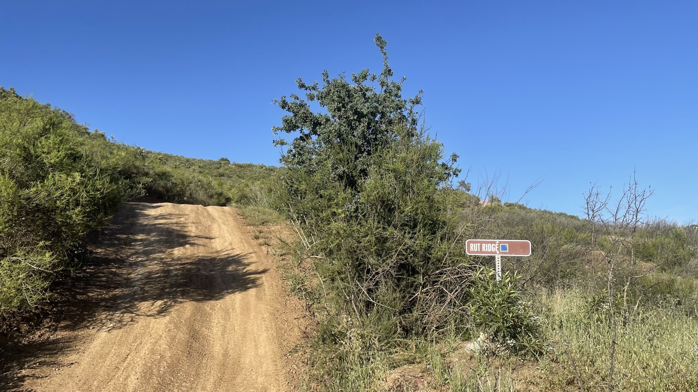 Frank Raines OHV: Rut Ridge, California | GPS Map, Photos & Reviews