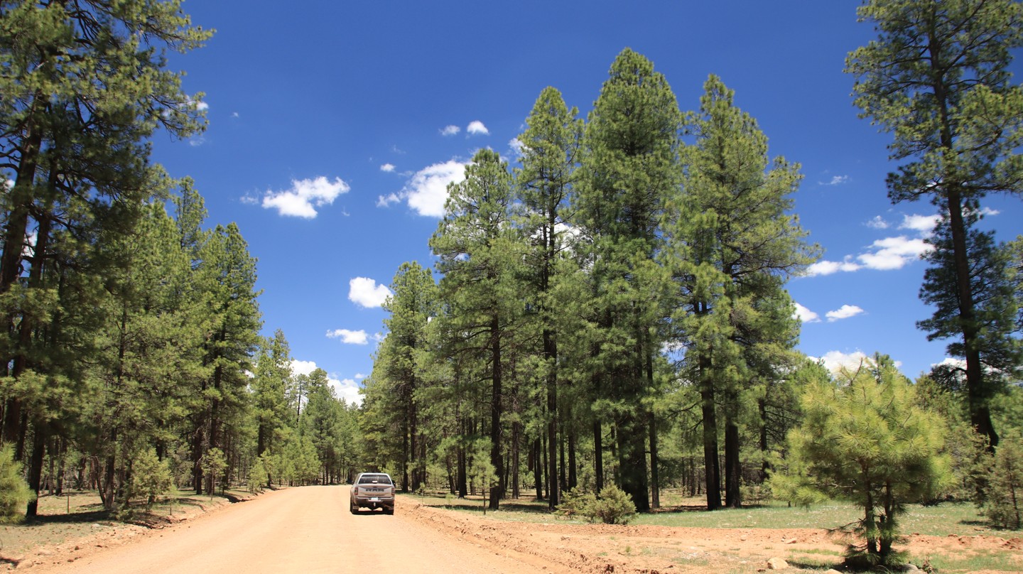 Desert to Tall Pines Scenic Byway (North), Arizona | GPS Map, Photos ...