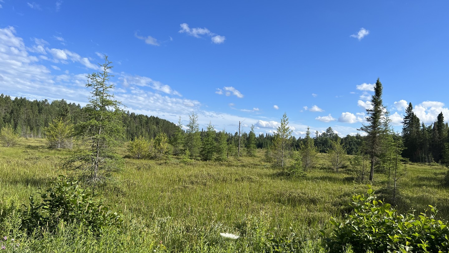 FR 1300 (Segment 1), Michigan | Offroad Trail Guide & Map