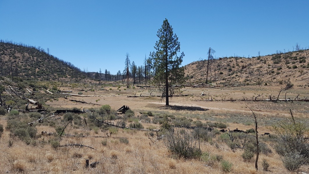 Yellow Jacket Trail (Upper) / 20W24 / 126, California | GPS Map, Photos ...