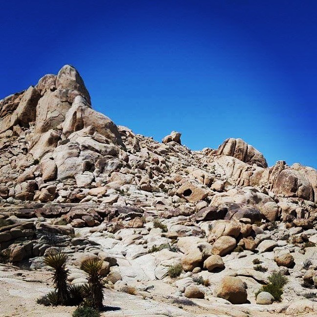 Bull Frog, California | Offroad Trail Guide & Map