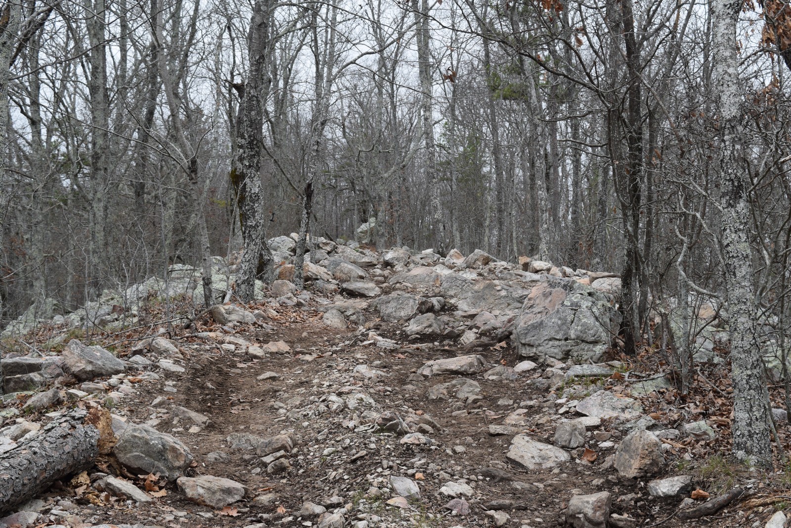 Choccolocco Mountain ORV Park-Rubicon, Alabama | GPS Map, Photos & Reviews