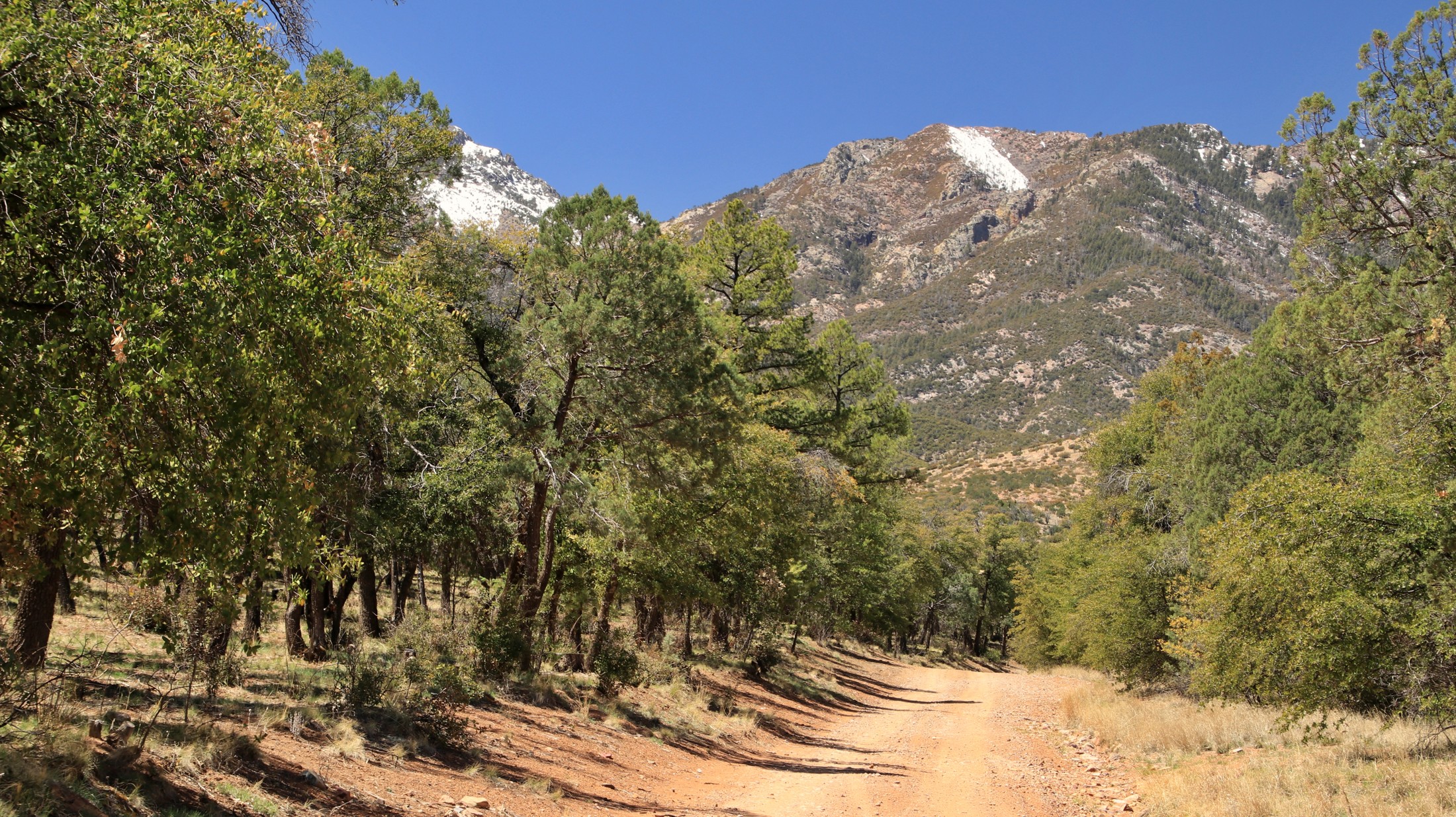 Gardner Canyon Road, Arizona | GPS Map, Photos & Reviews