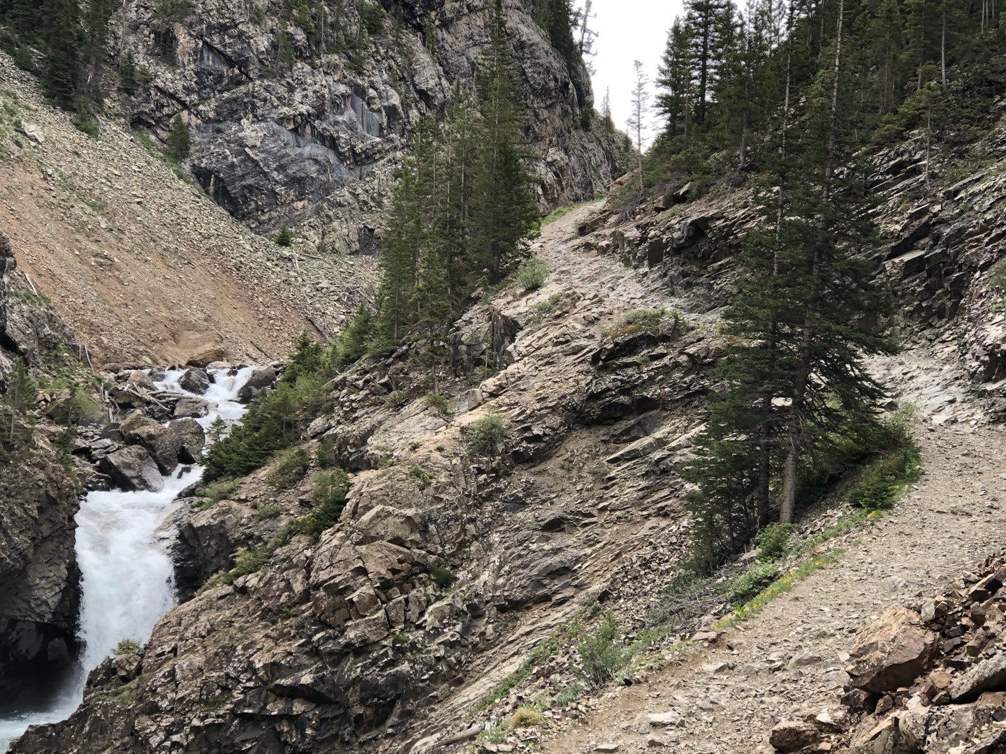 Schofield Pass - Colorado Offroad Trail