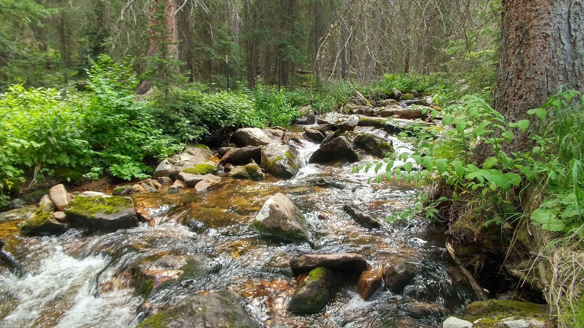 Deadman Road, Colorado | GPS Map, Photos & Reviews