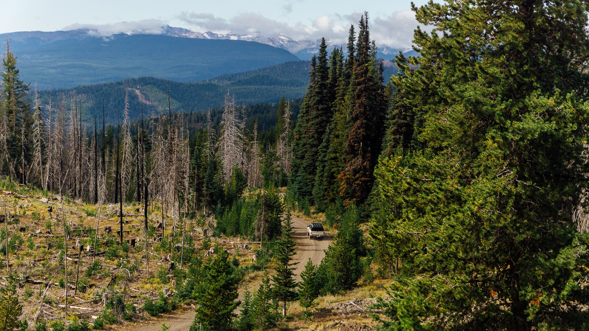 NF-324, Washington | Offroad Trail Guide & Map