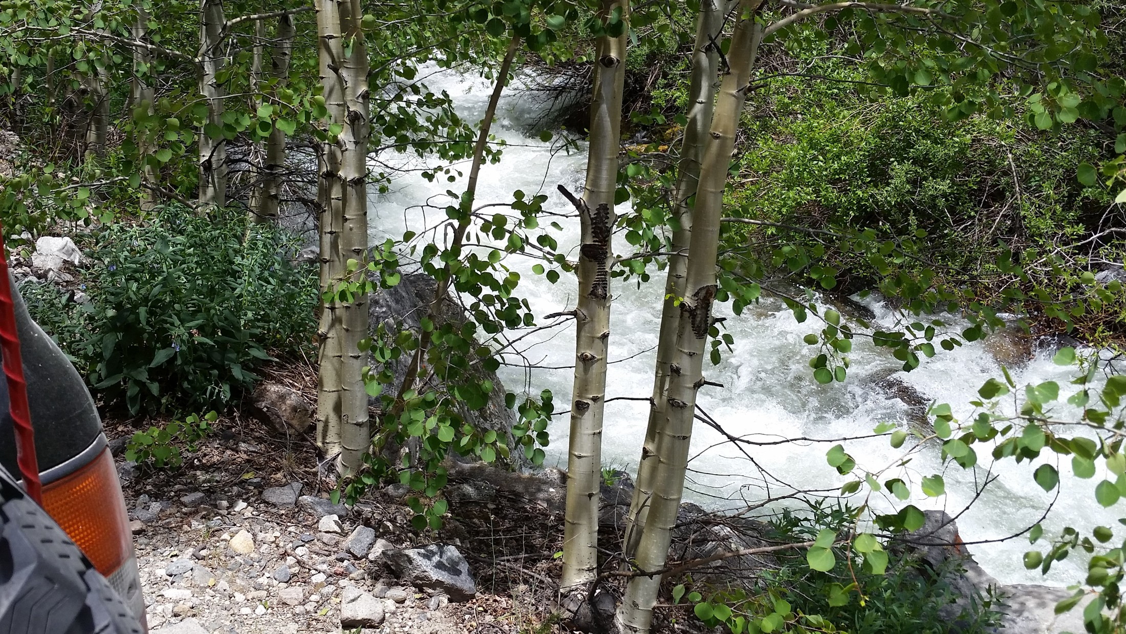 Billings Lake, Colorado | Offroad Trail Guide & Map