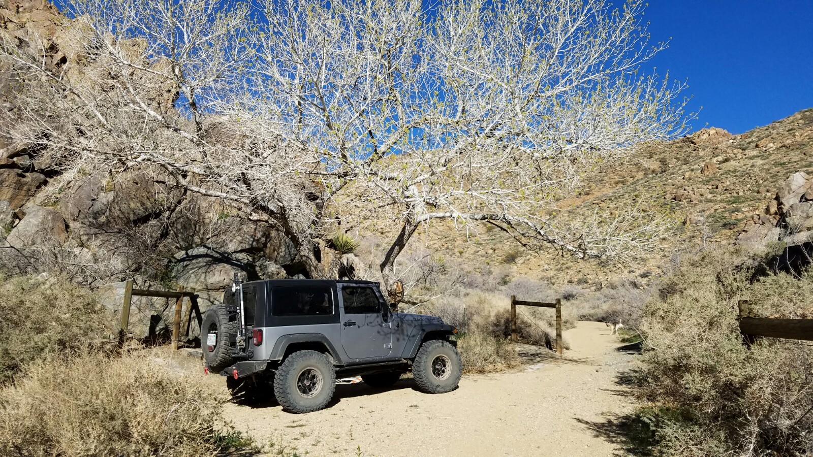 Quill Springs Lookout, California | Offroad Trail Guide & Map