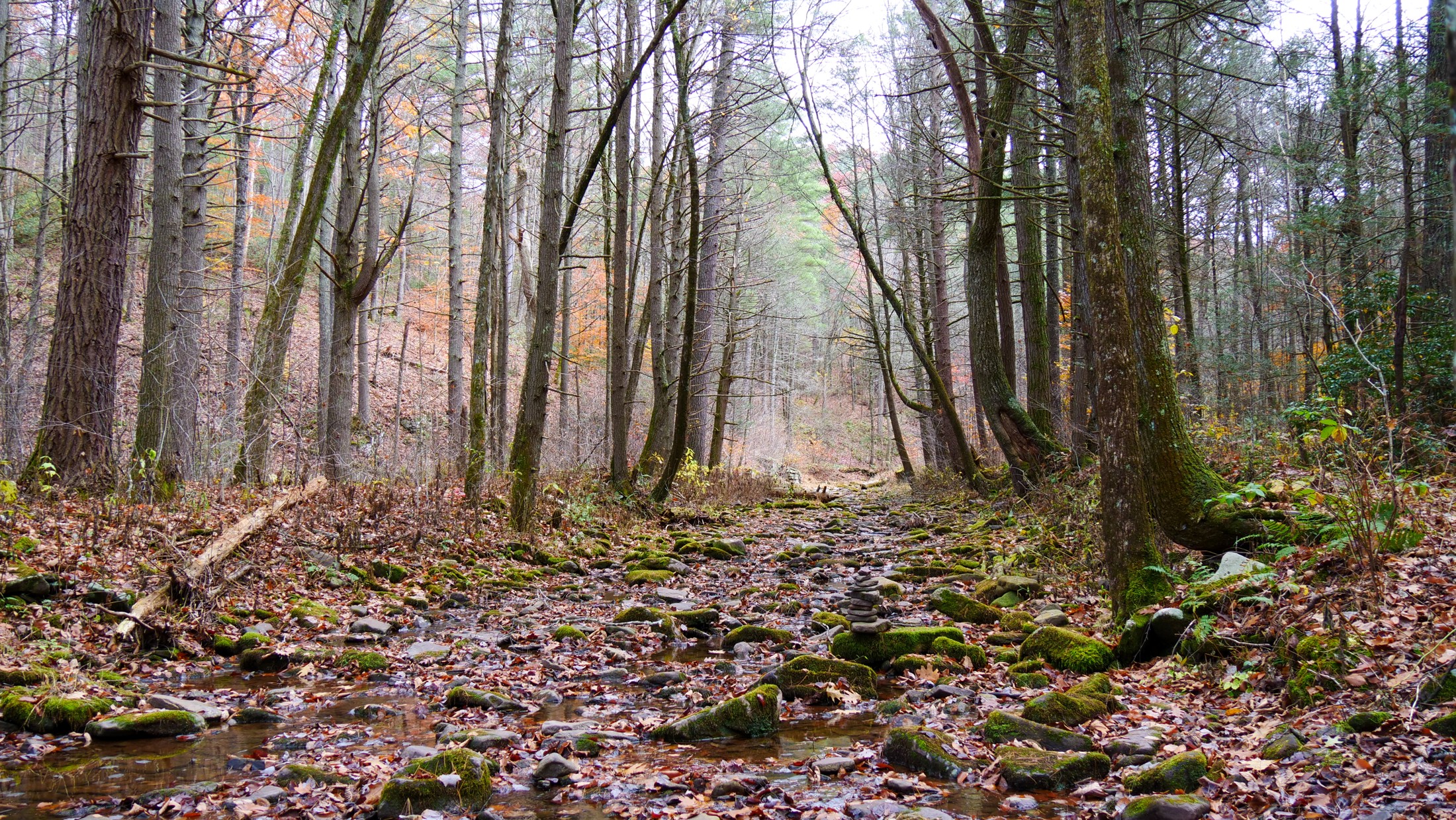 Skidmore Fork/Dunkle Hollow Road, Virginia | GPS Map, Photos & Reviews