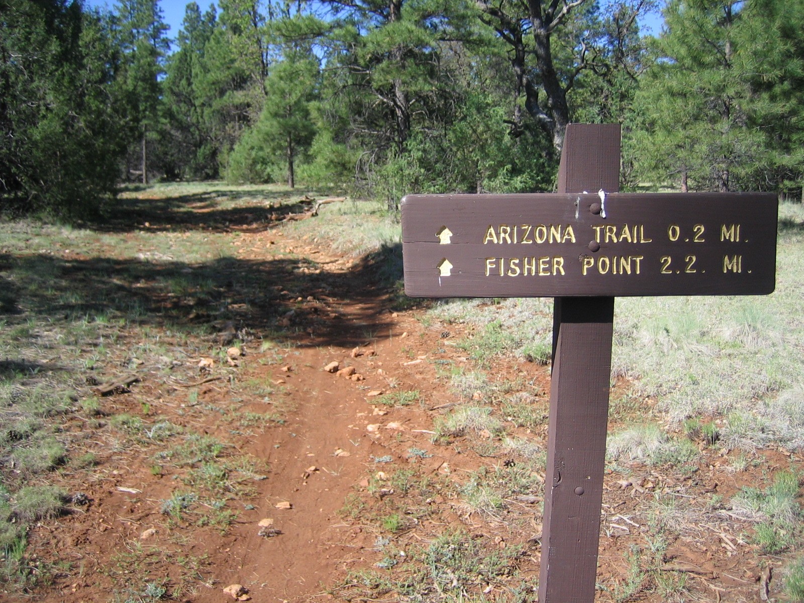 FR 301 to Fisher Point Trailhead - Arizona Offroad Trail