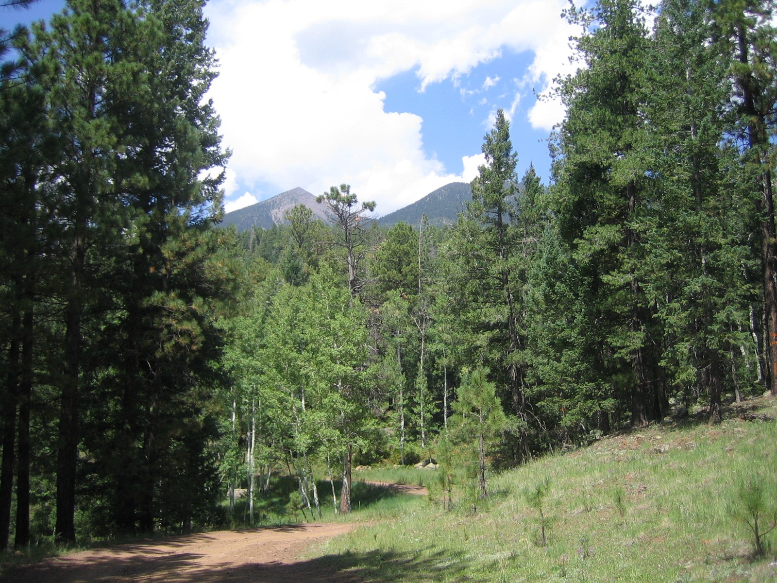 Freidlein Prairie, Arizona | GPS Map, Photos & Reviews