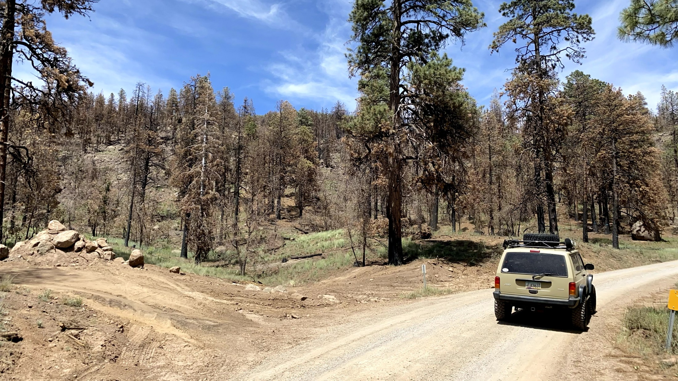 Mount Elden Lookout Road