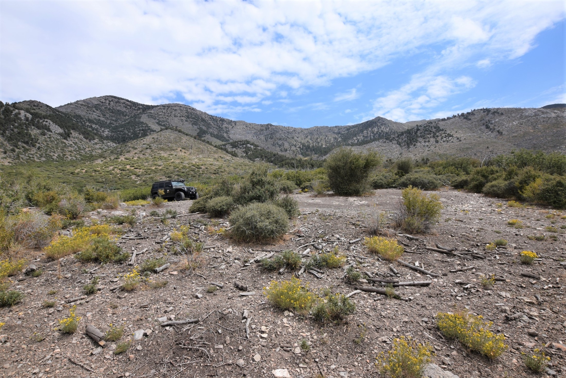 Trough Spring Road, Nevada | Offroad Trail Guide & Map