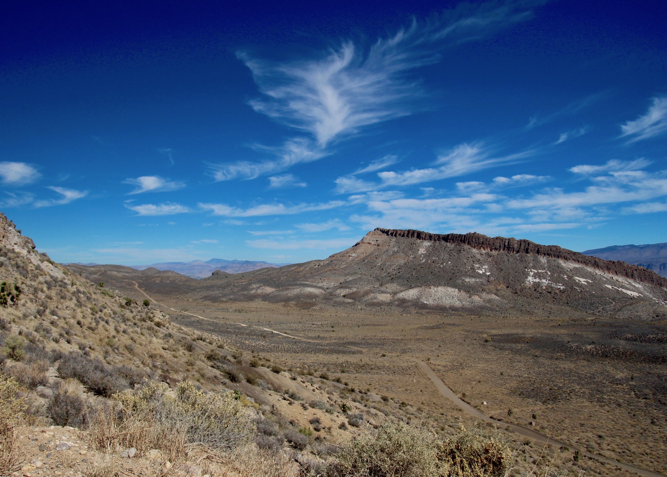 Badger Valley Loop Nevada, Nevada | Offroad Trail Guide & Map
