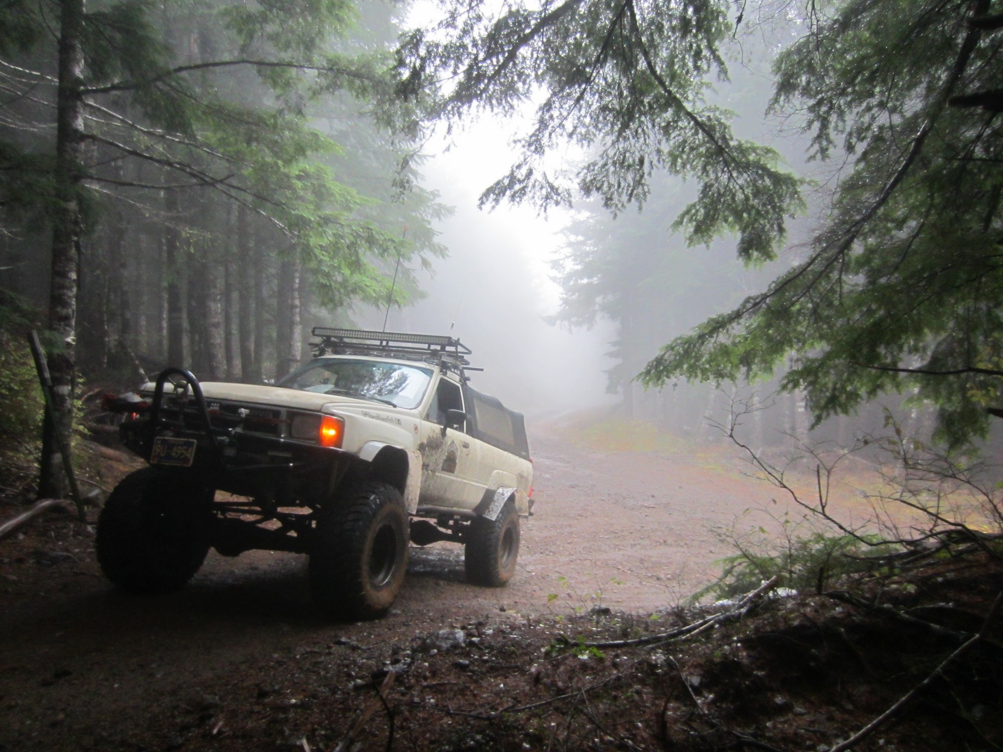 7 Up (Easy Way) / Tillamook State Forest, Oregon | GPS Map, Photos ...