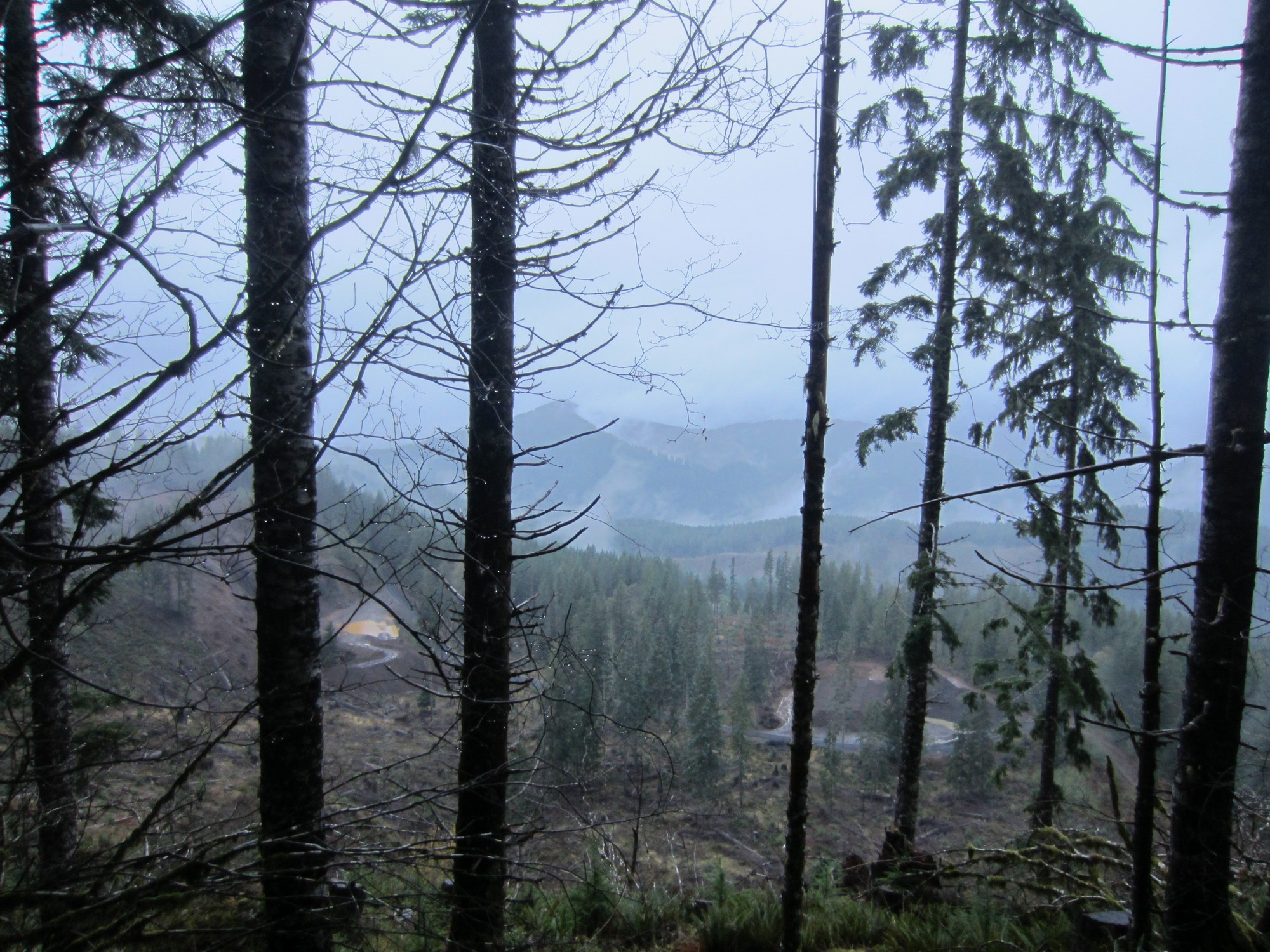 Hogs Back / Tillamook State Forest, Oregon | GPS Map, Photos & Reviews