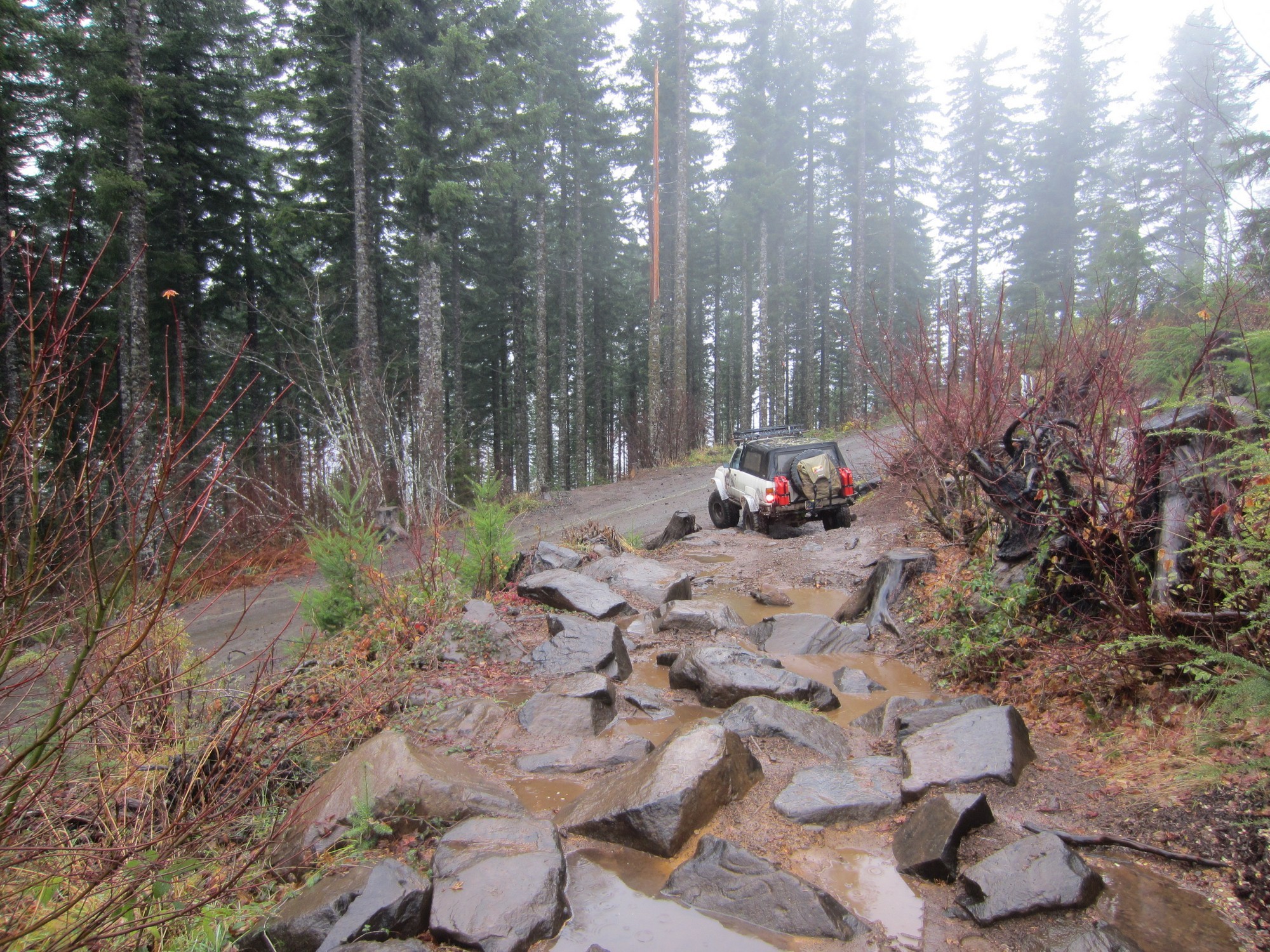 Saddle Up Part Two / Tillamook State Forest, Oregon | GPS Map, Photos ...