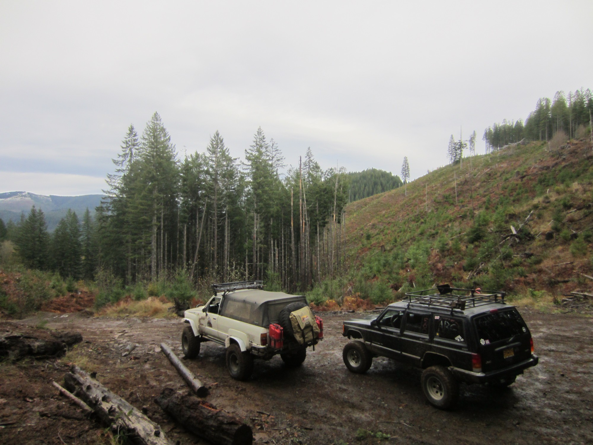 Bates Road / Tillamook State Forest, Oregon | GPS Map, Photos & Reviews
