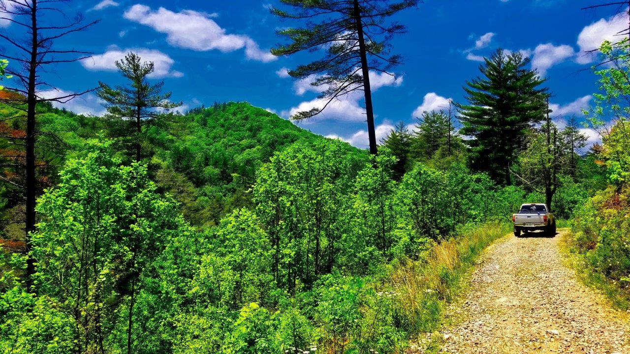 Forest Service Road 69C, Georgia | Offroad Trail Guide & Map