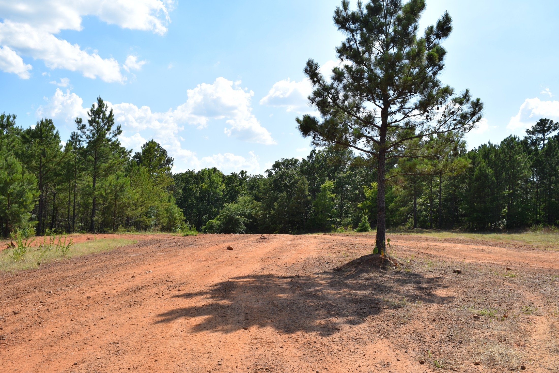 Barnwell Mountain Recreation Area: South Road East, Texas | GPS Map ...