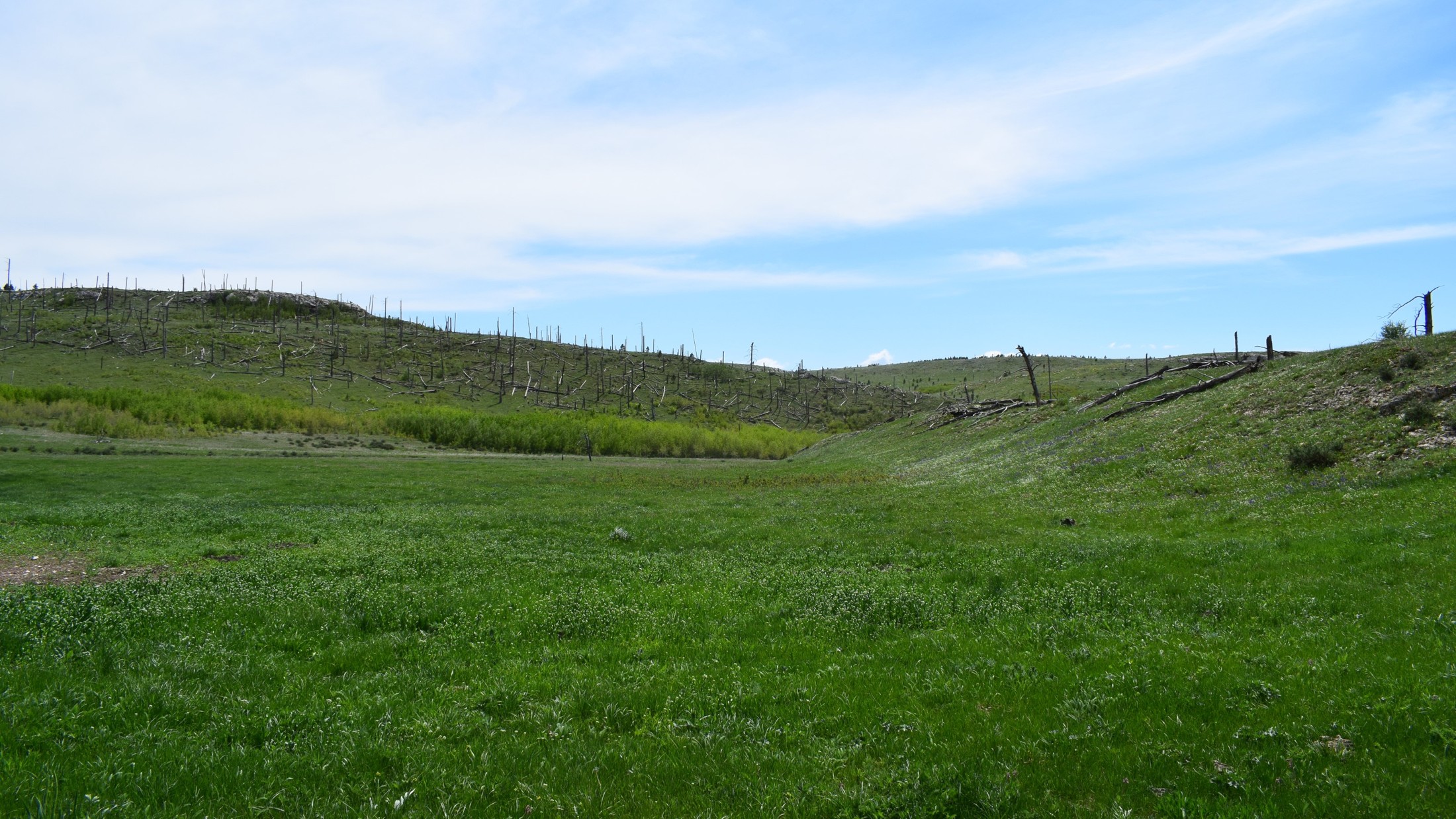 Smith Draw Cutoff, South Dakota | Offroad Trail Guide & Map