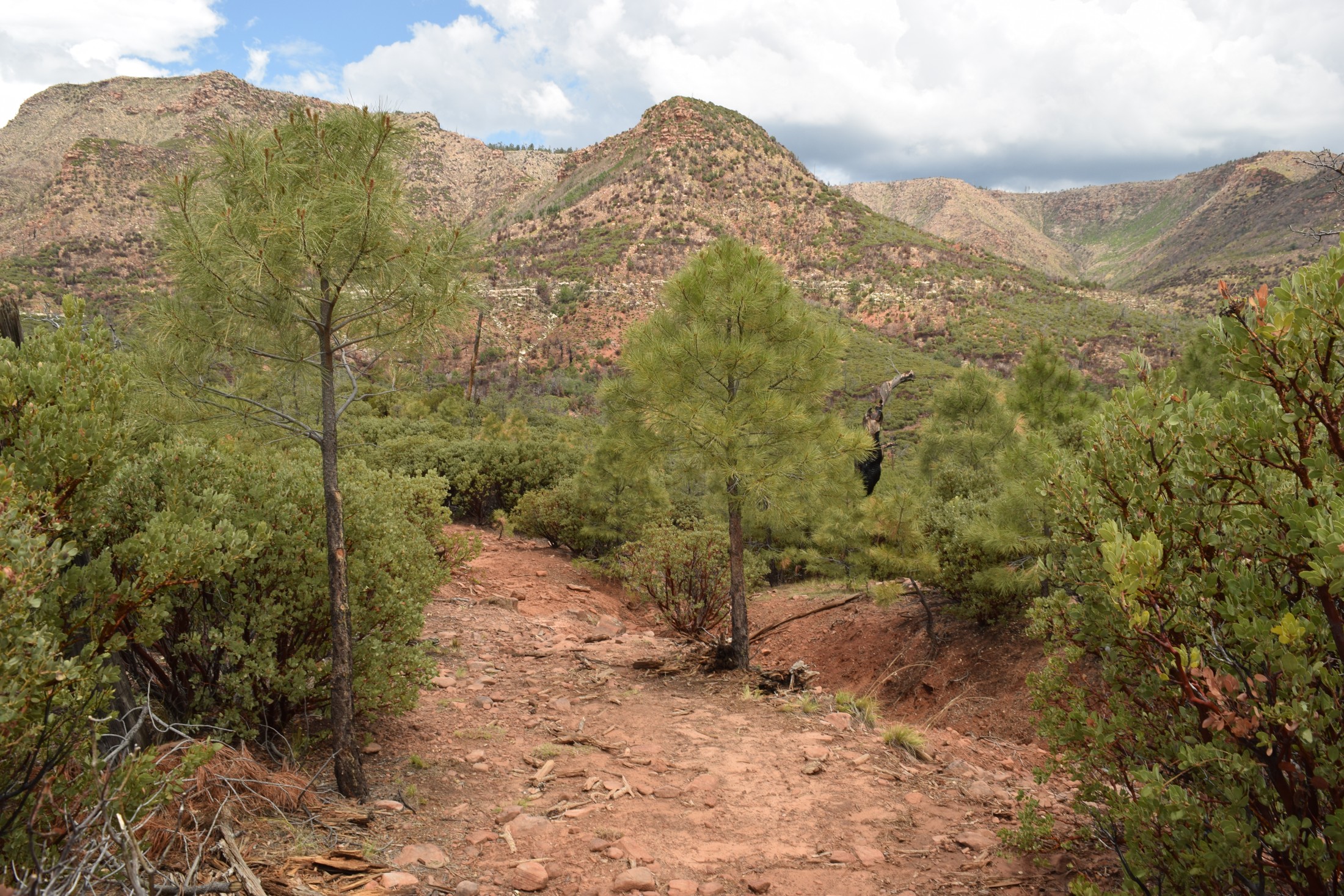 Moore Creek, Arizona | GPS Map, Photos & Reviews