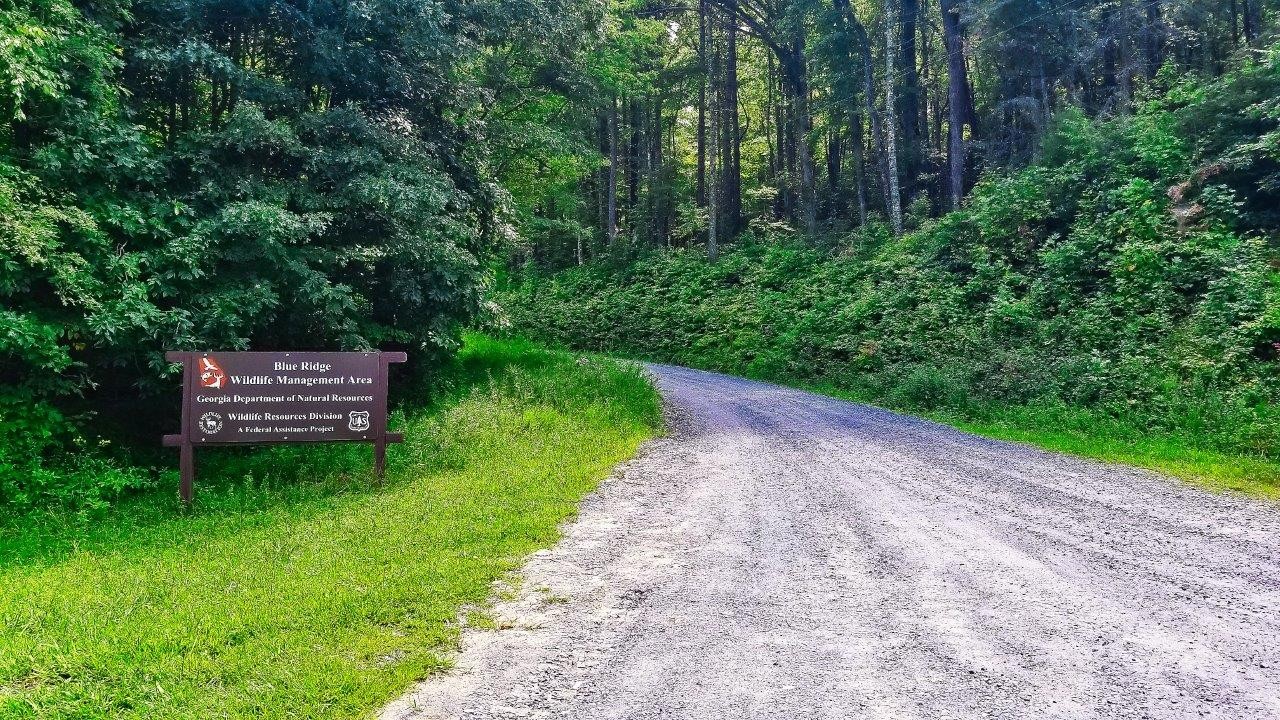 Springer Mountain Road, Georgia | GPS Map, Photos & Reviews