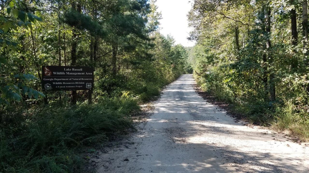 Red Root Road , Georgia | Offroad Trail Guide & Map