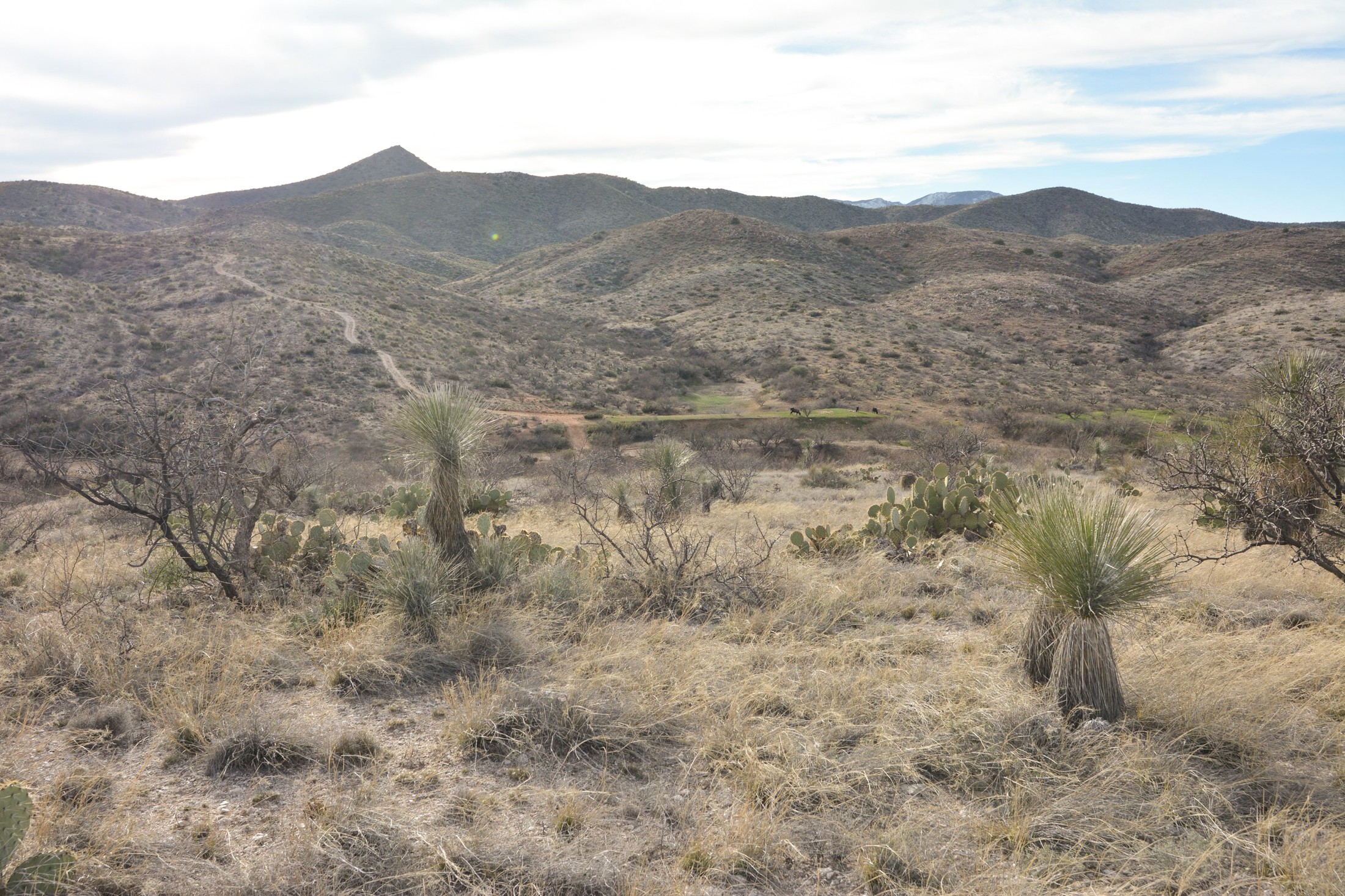 Red Tank, Arizona | GPS Map, Photos & Reviews
