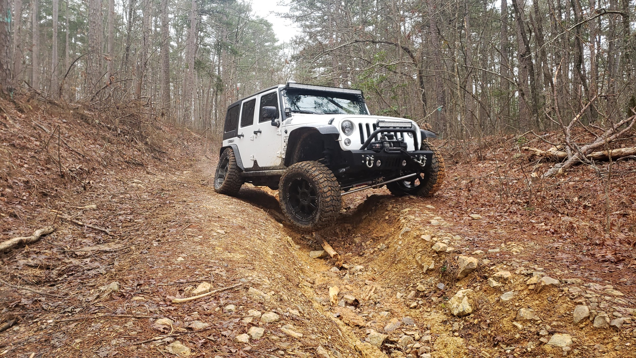 Ritter, Arkansas | GPS Map, Photos & Reviews