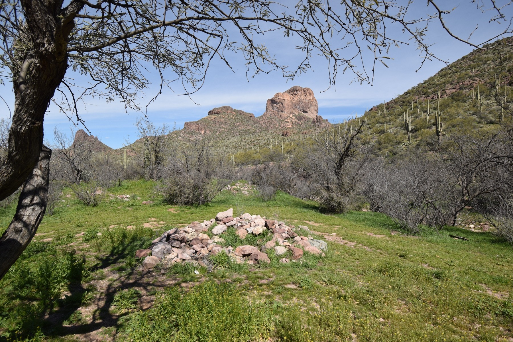Elephant Butte, Arizona | GPS Map, Photos & Reviews