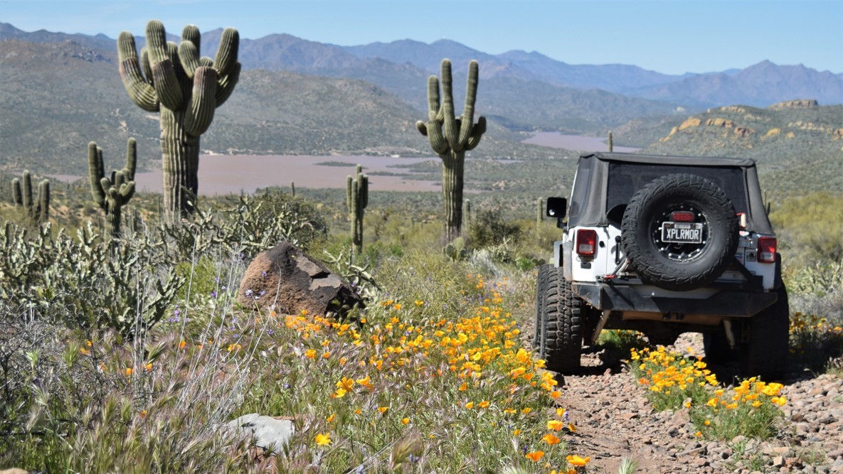 Bartlett Powerline , Arizona | GPS Map, Photos & Reviews