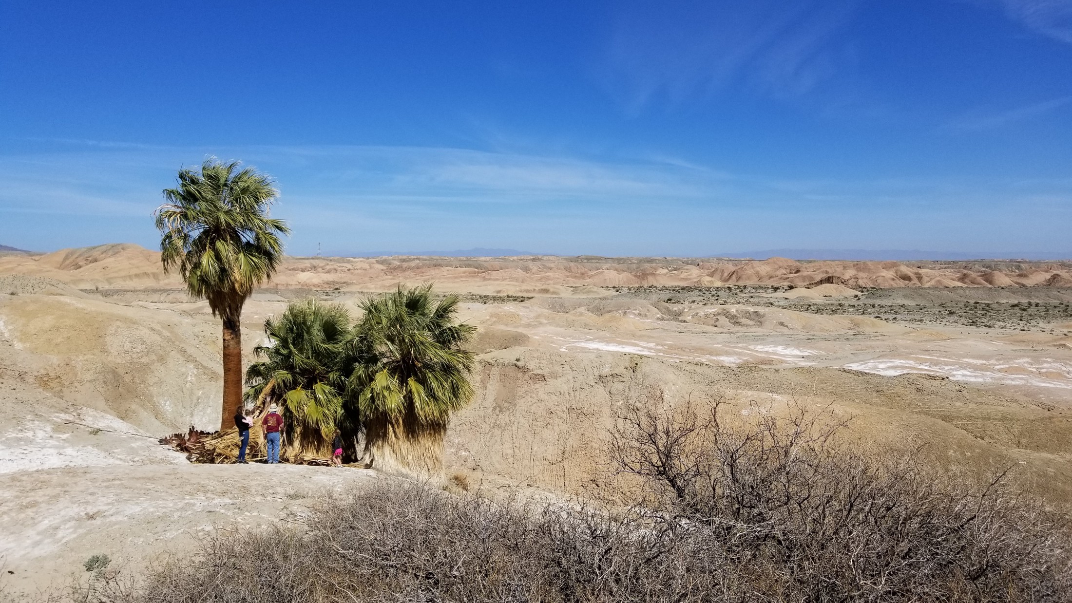 5 Palms Oasis, California | GPS Map, Photos & Reviews