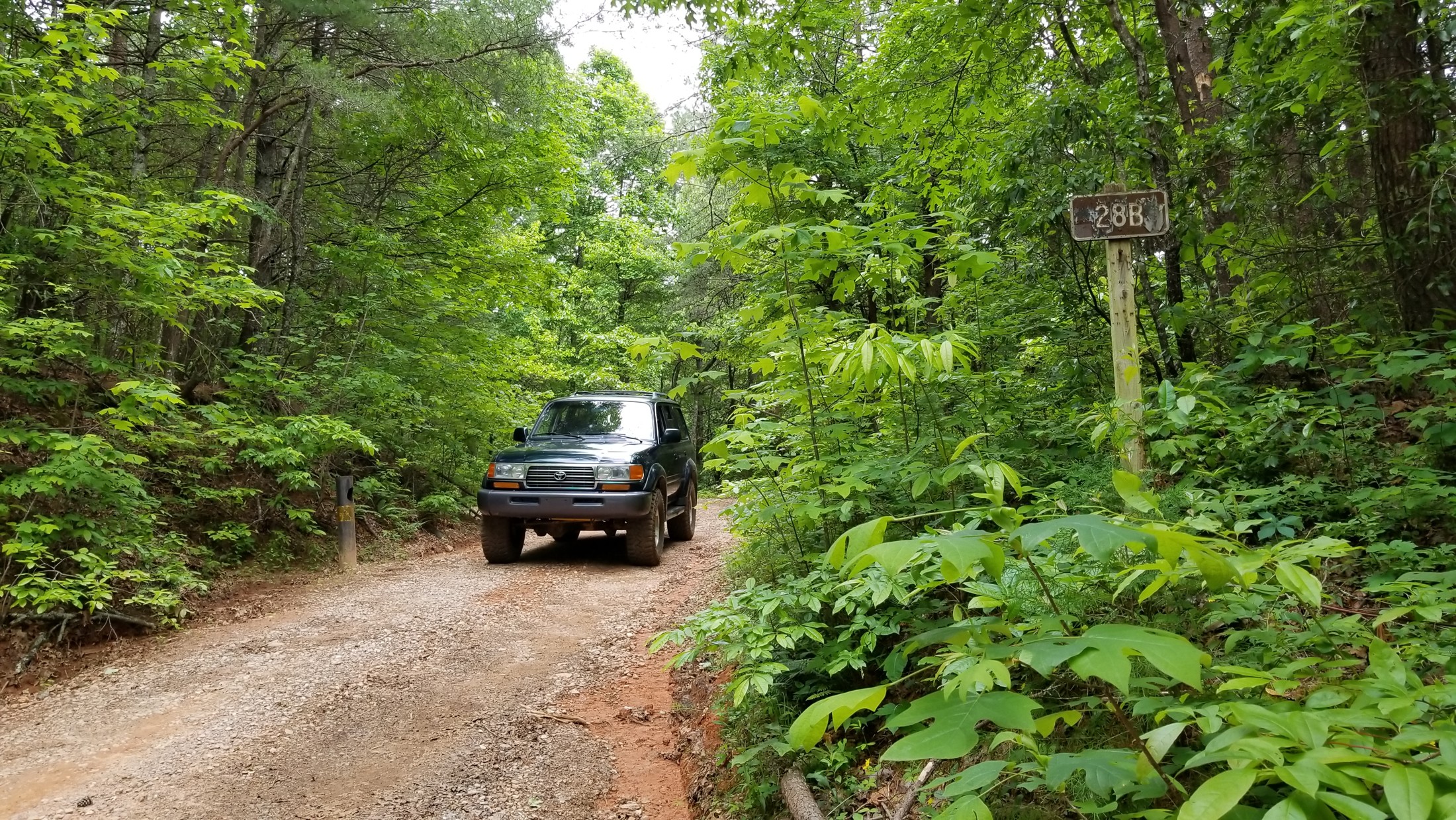 Moss Hill Road, Georgia | GPS Map, Photos & Reviews