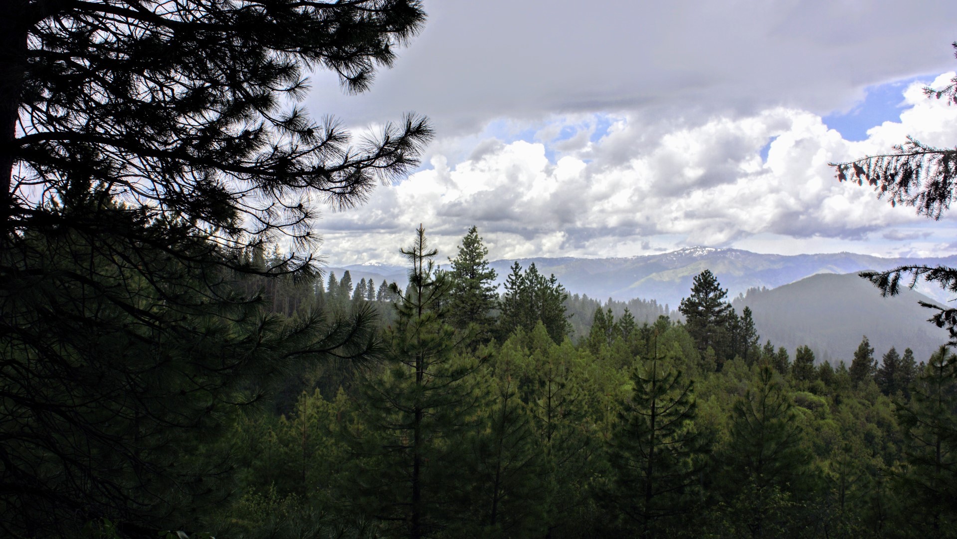 Left Fork Danskin Creek, Idaho | GPS Map, Photos & Reviews