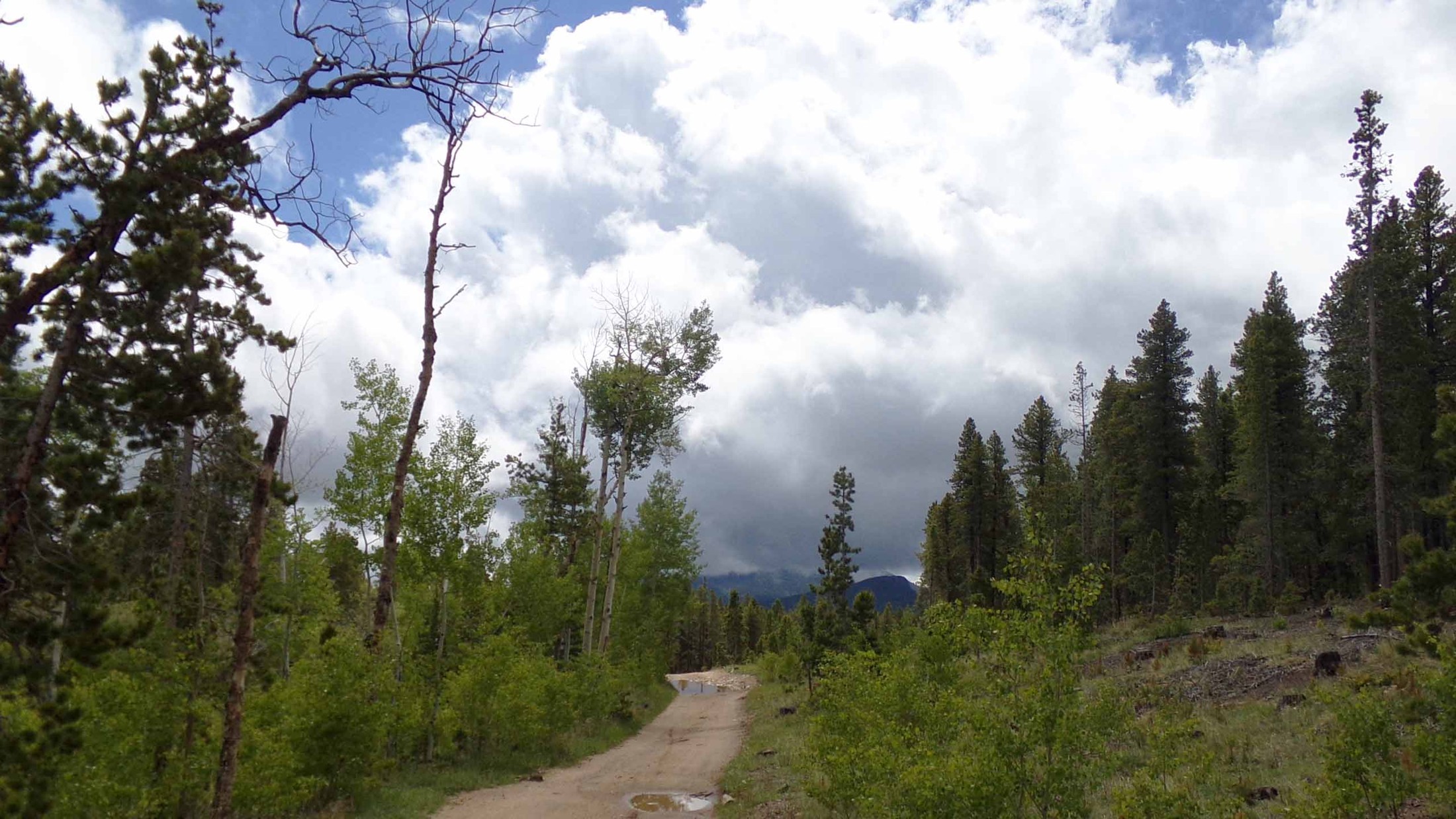 Observatory, Colorado | Offroad Trail Guide & Map