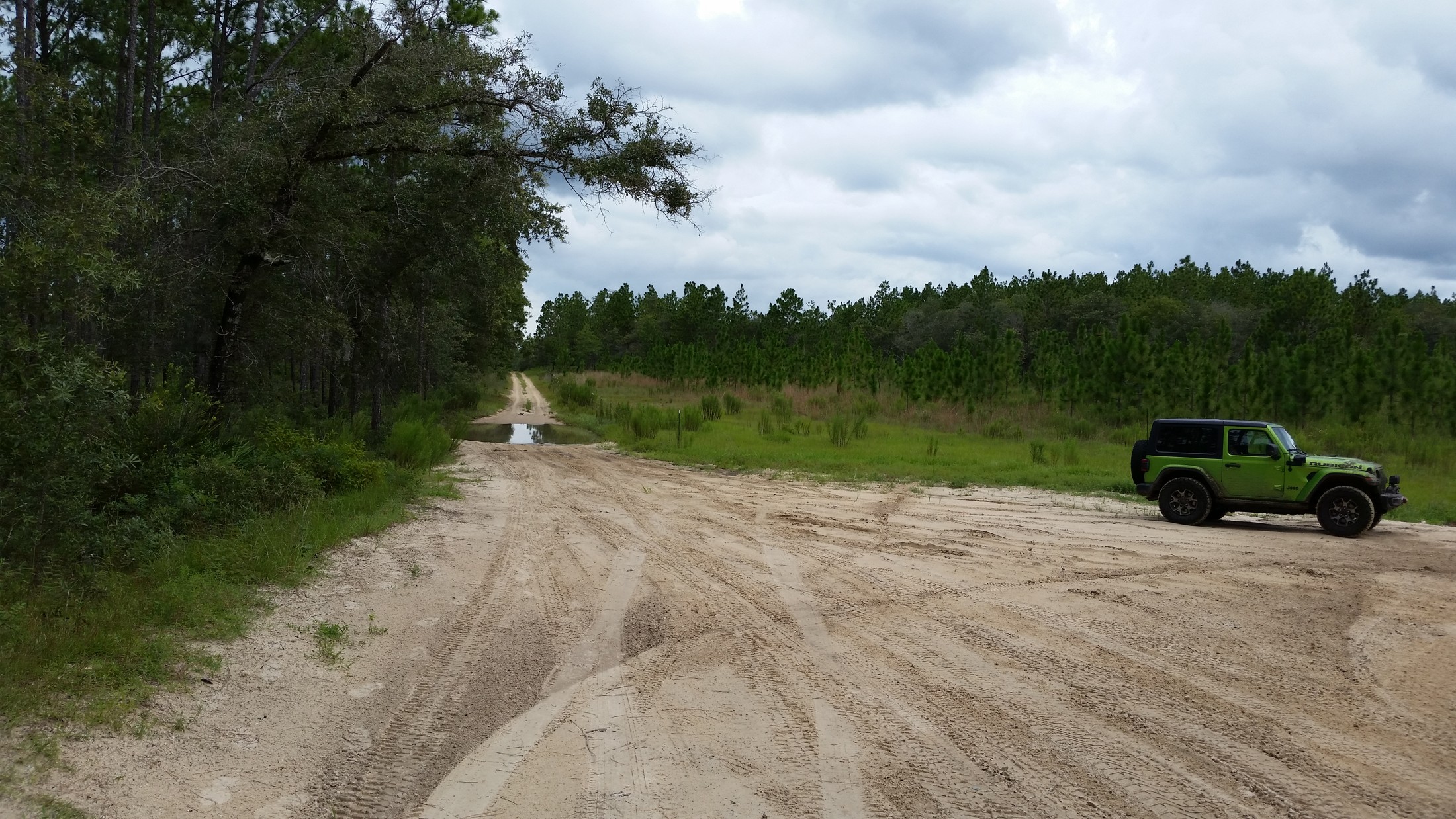Citrus - Trail 16, Florida | GPS Map, Photos & Reviews