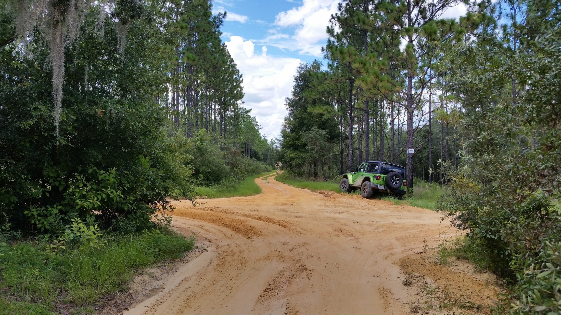 Citrus - Trail 15, Florida | GPS Map, Photos & Reviews