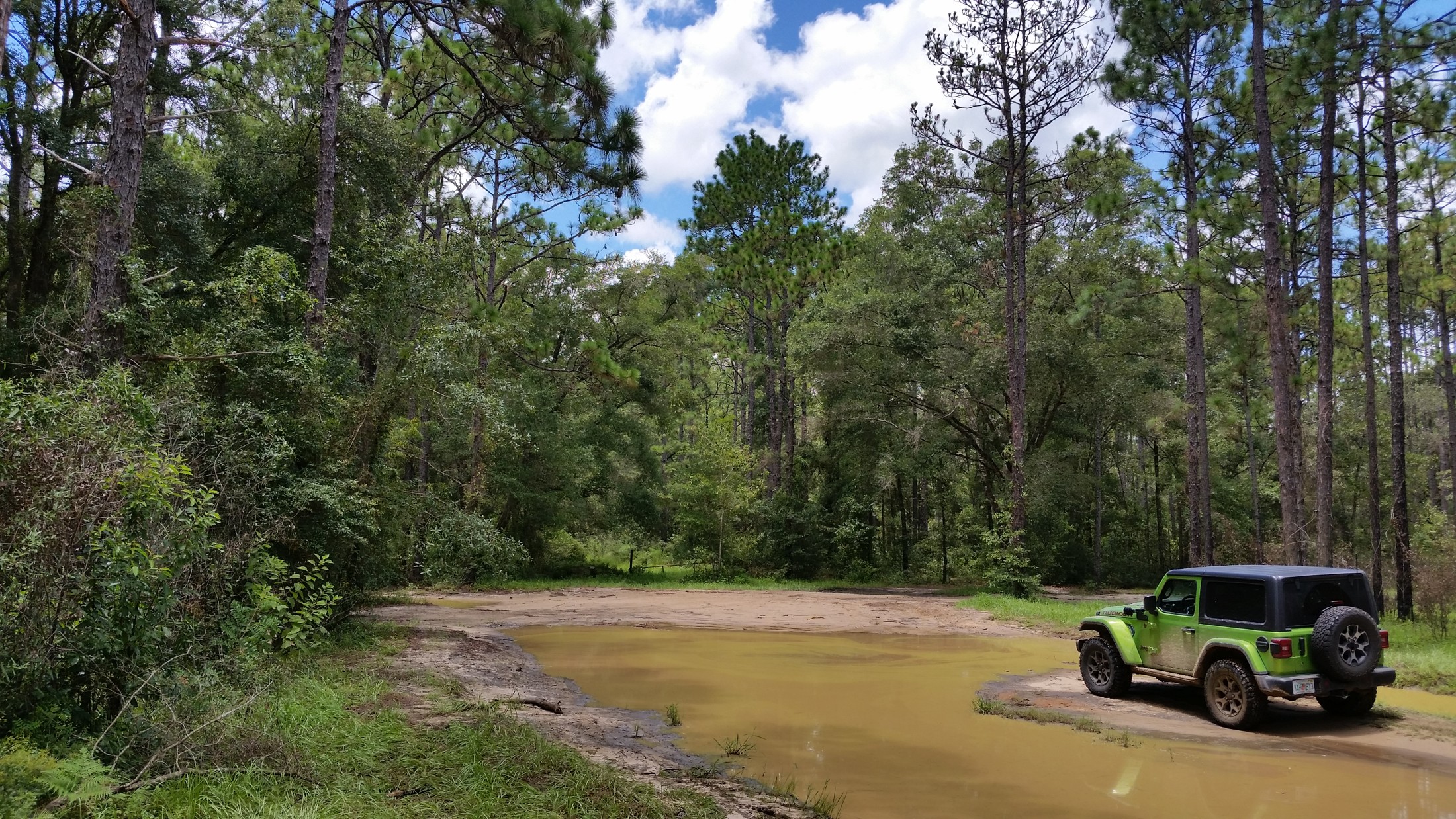 Citrus - Trail 20, Florida | GPS Map, Photos & Reviews