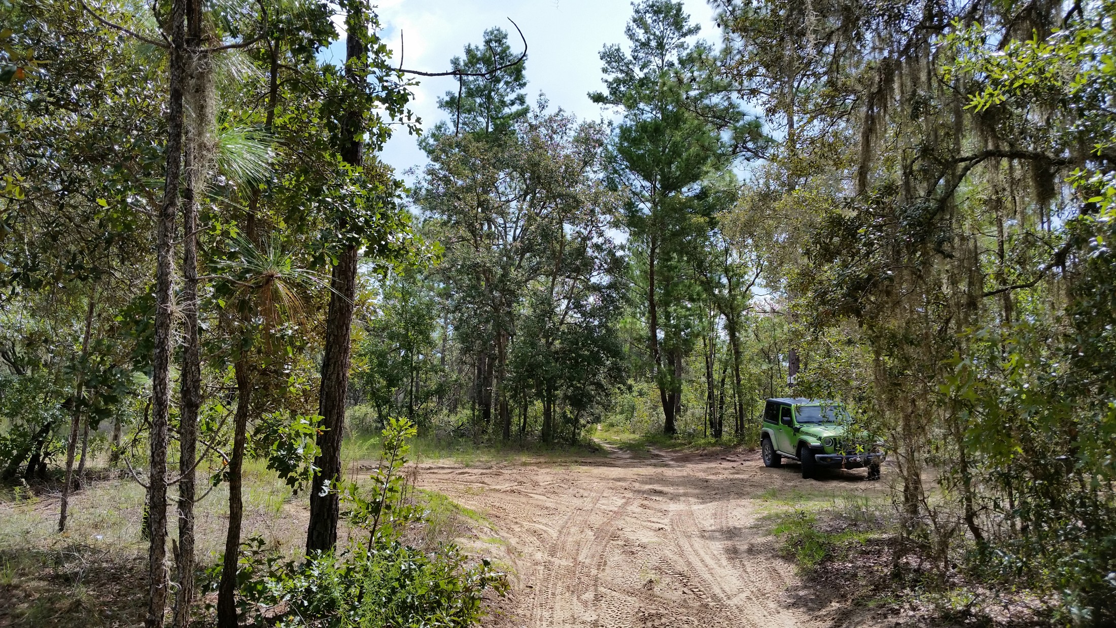 Citrus - Trail 22, Florida | GPS Map, Photos & Reviews