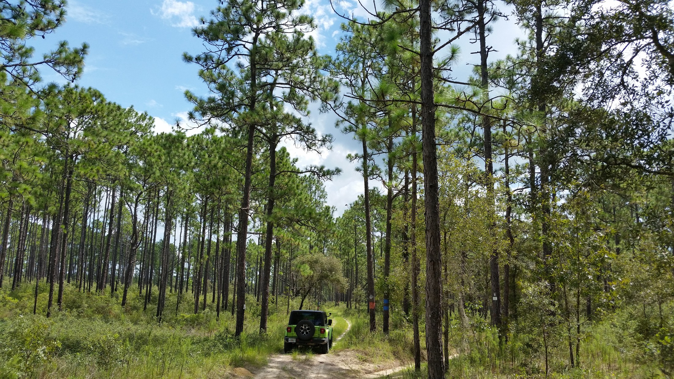 Citrus - Trail 18A, Florida | GPS Map, Photos & Reviews