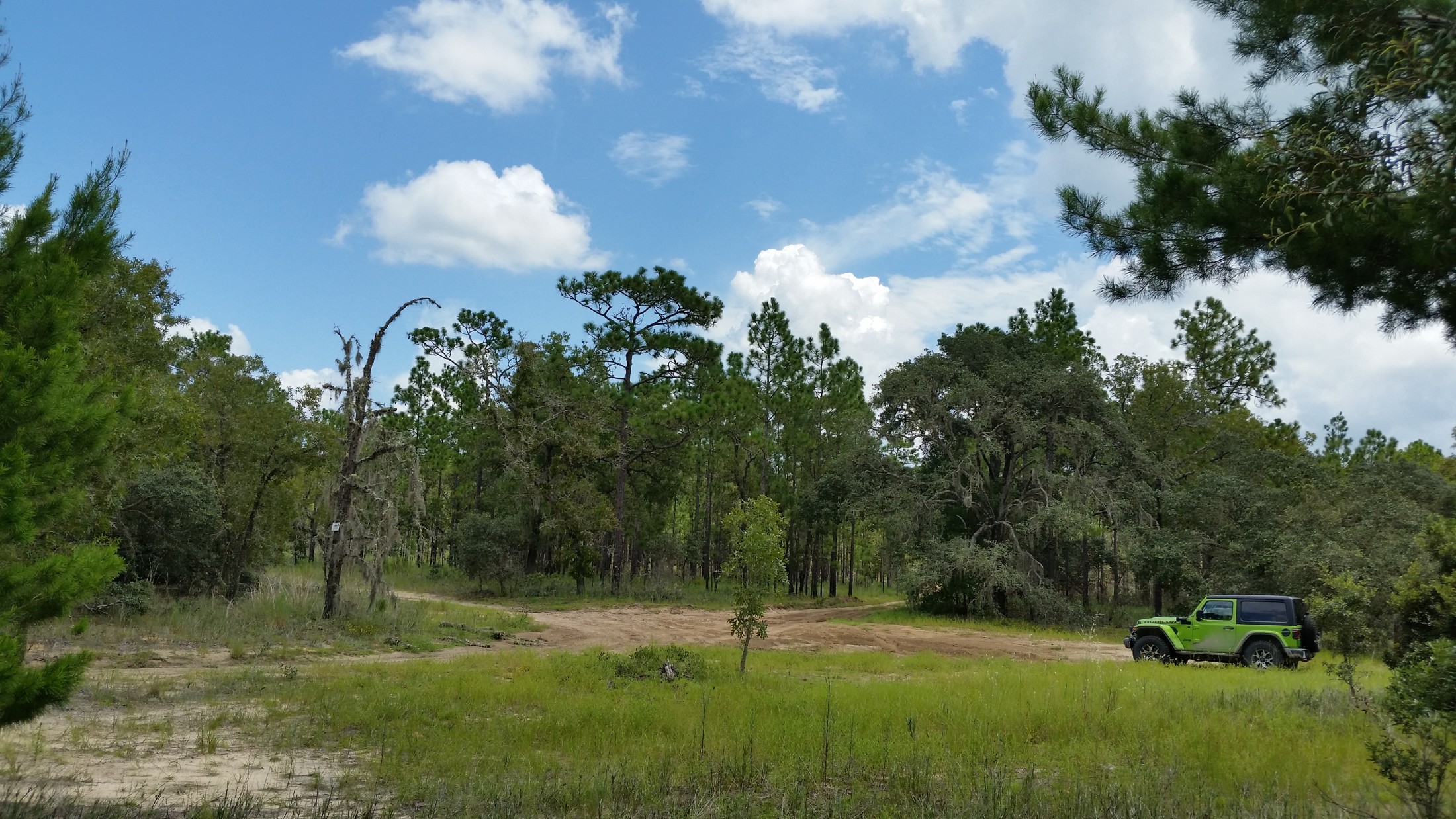 Citrus - Trail 5, Florida | GPS Map, Photos & Reviews