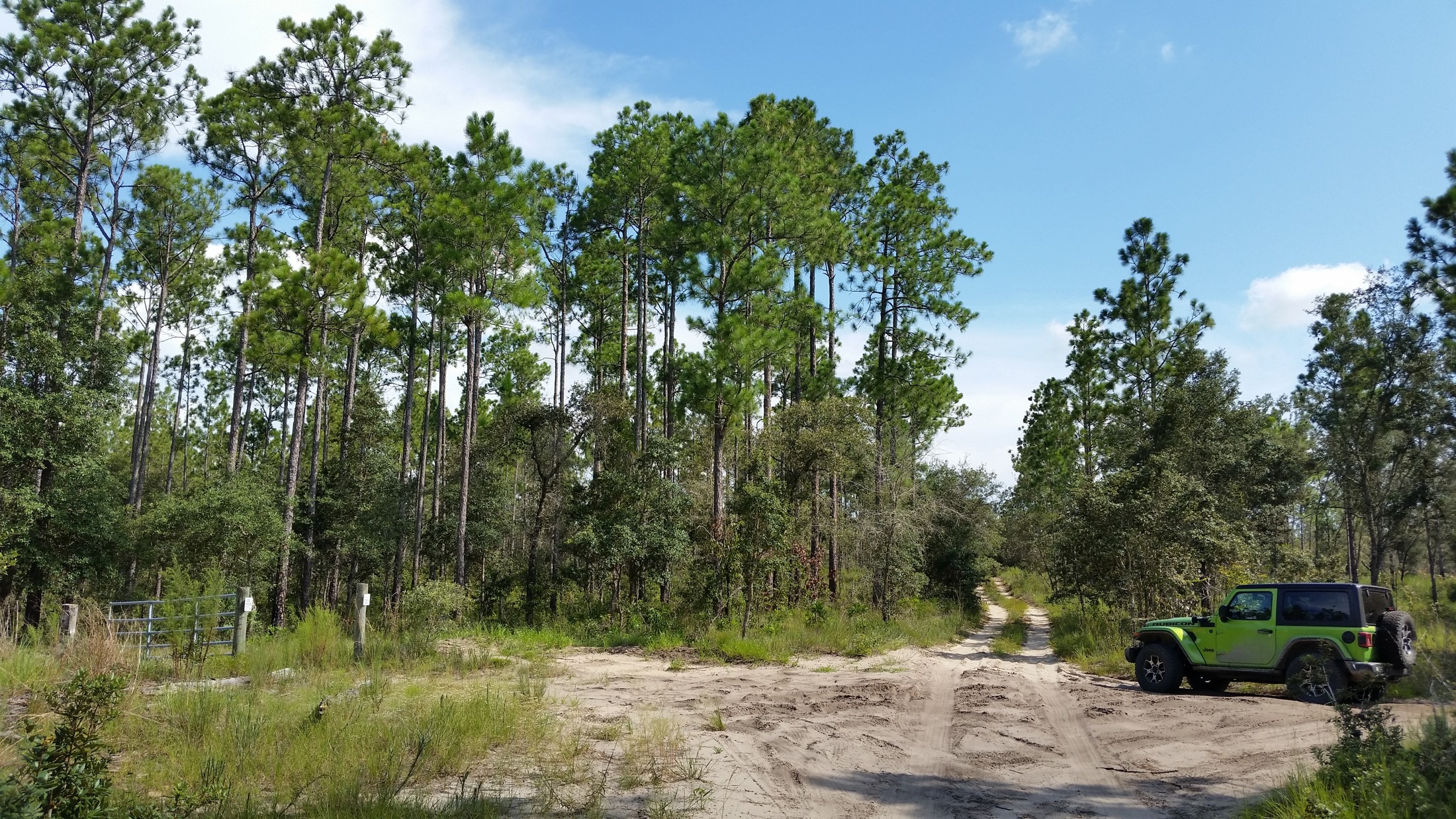 Citrus - Trail 12, Florida | GPS Map, Photos & Reviews