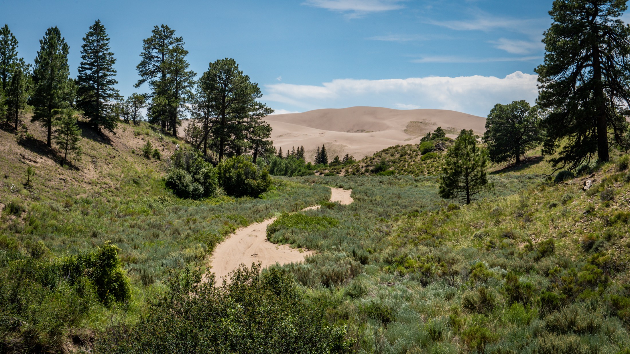 Medano Pass, Colorado | GPS Map, Photos & Reviews