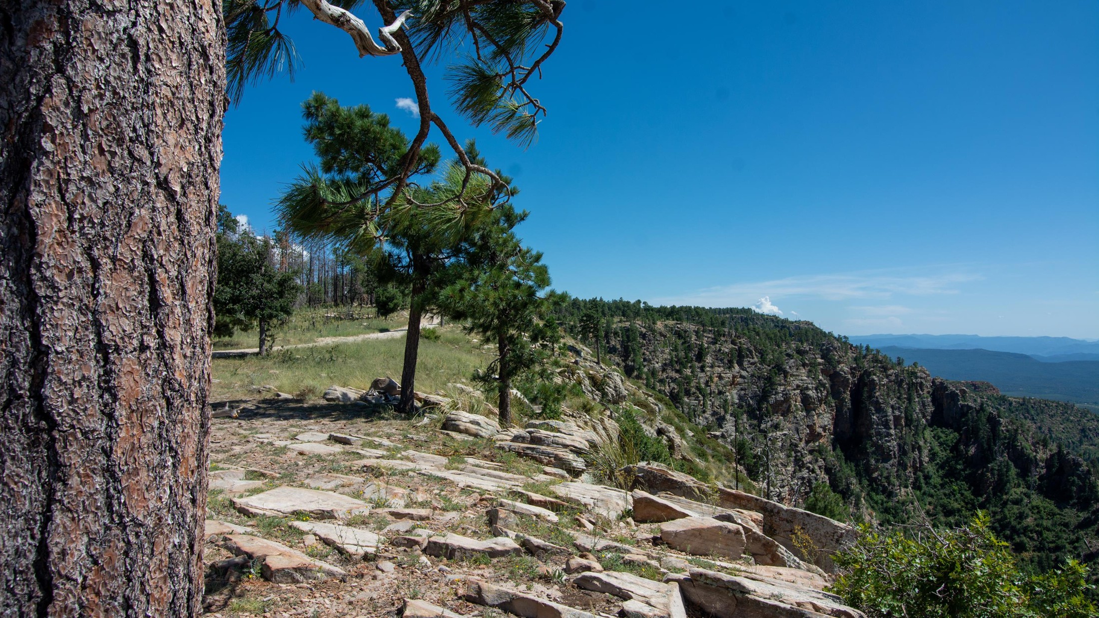 Rim Road, Arizona | GPS Map, Photos & Reviews