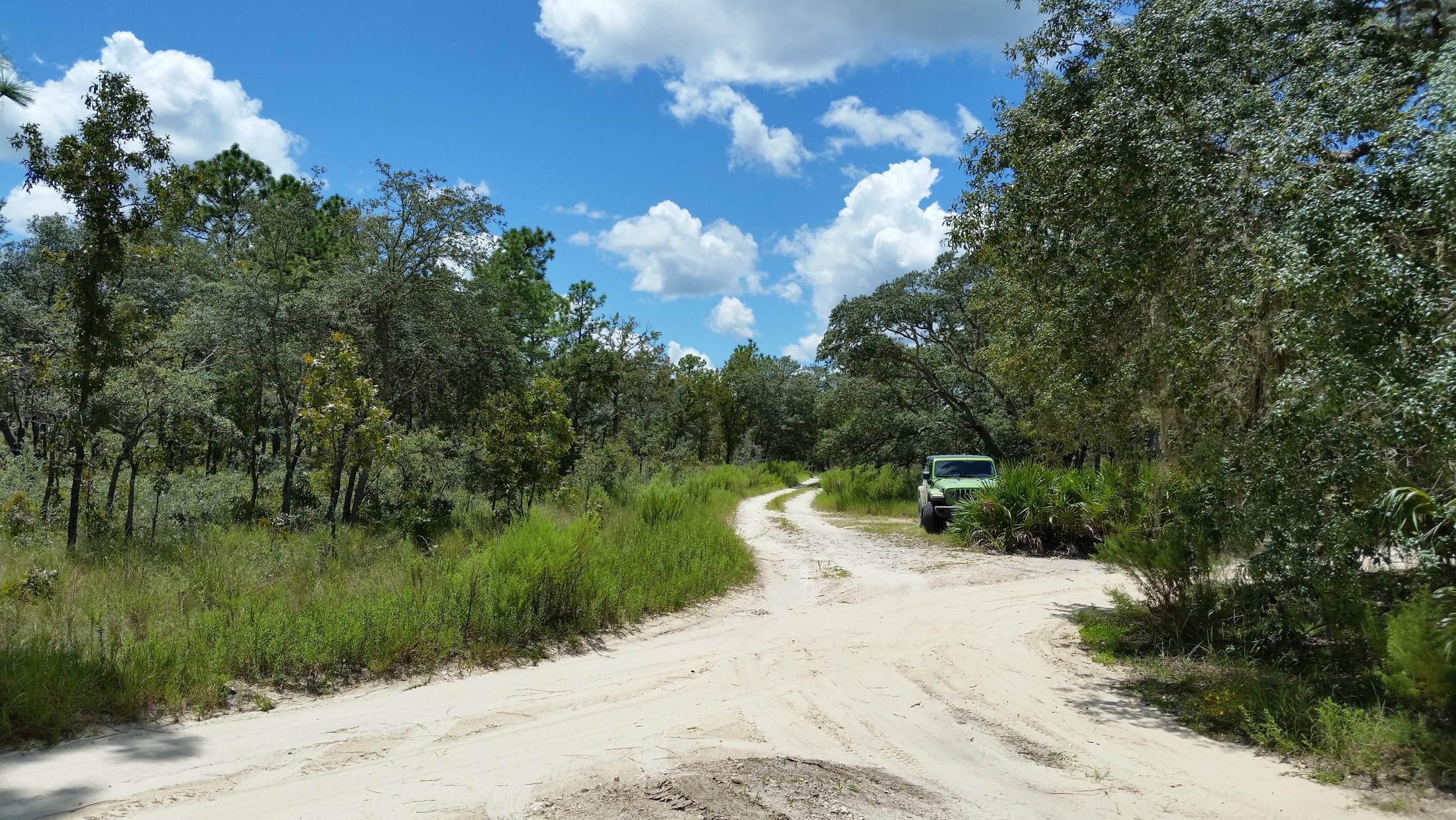 Citrus - Trail 11B, Florida | GPS Map, Photos & Reviews