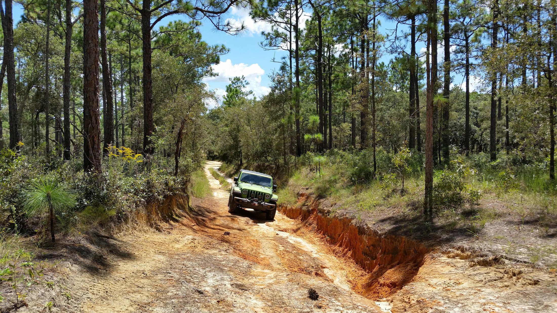 Citrus - Trail 11, Florida | GPS Map, Photos & Reviews