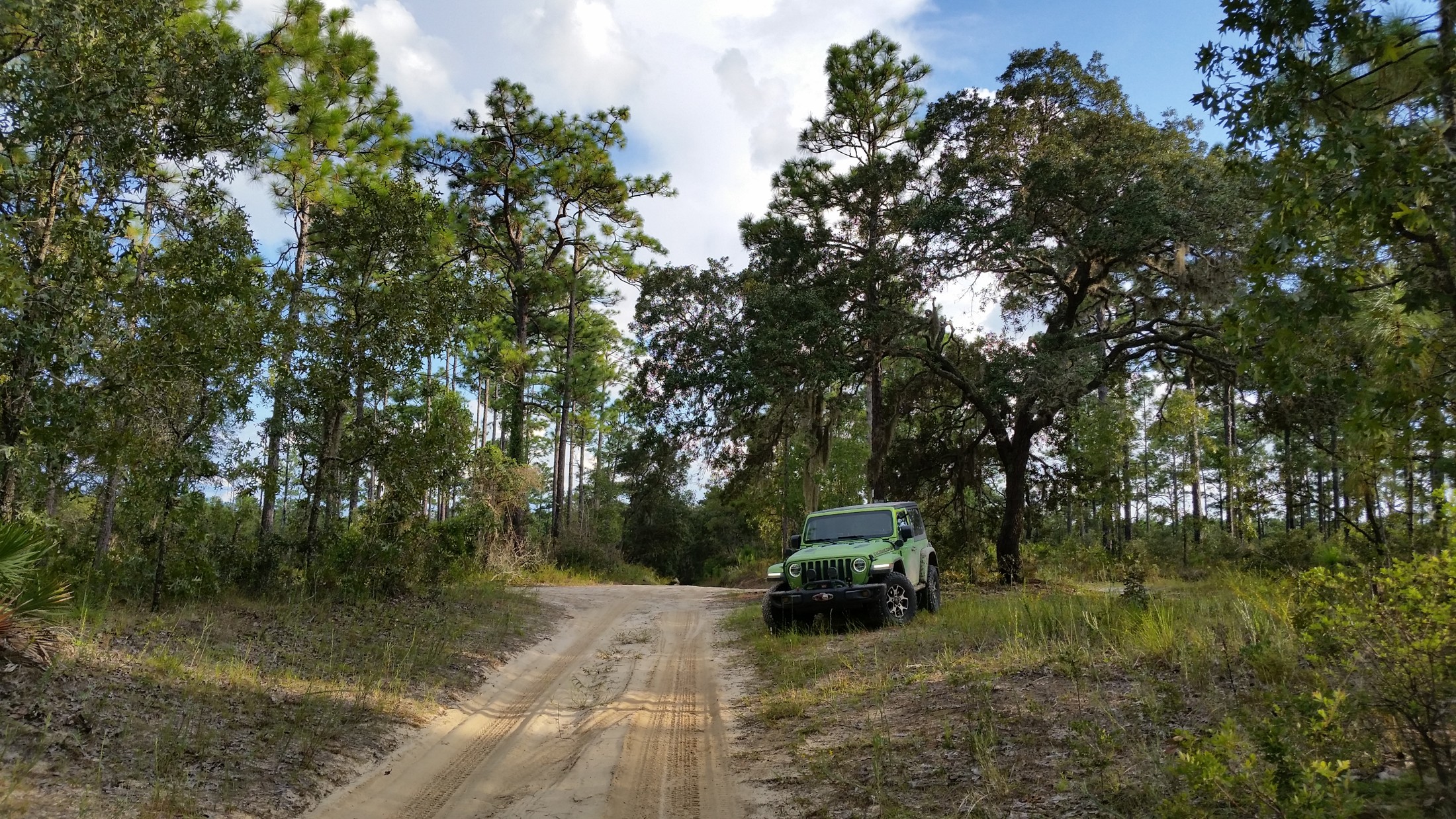 Citrus - Trail 17, Florida | GPS Map, Photos & Reviews