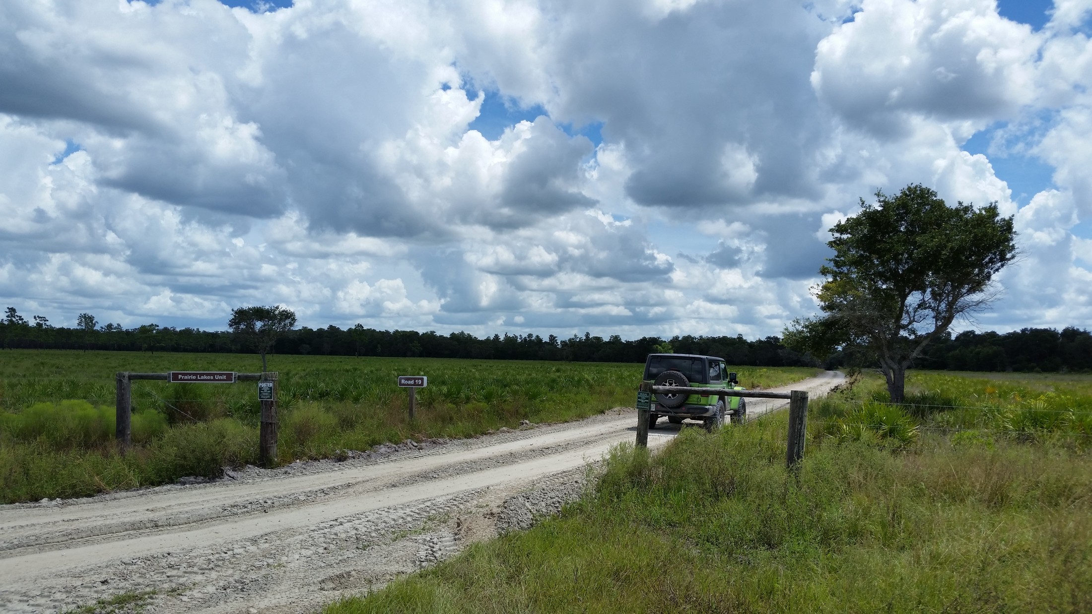 Three Lakes - Trail 5 and 19, Florida | GPS Map, Photos & Reviews
