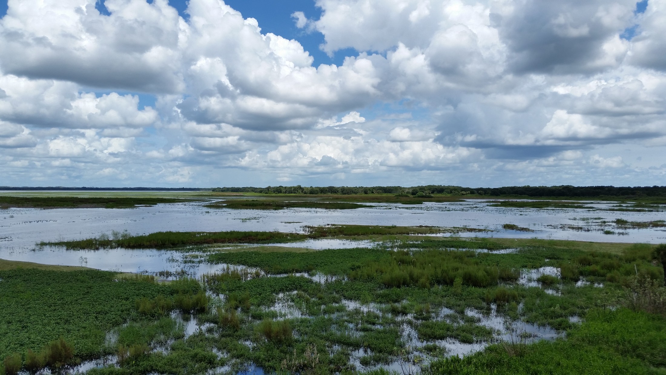 Three Lakes - Trail 16, Florida | GPS Map, Photos & Reviews